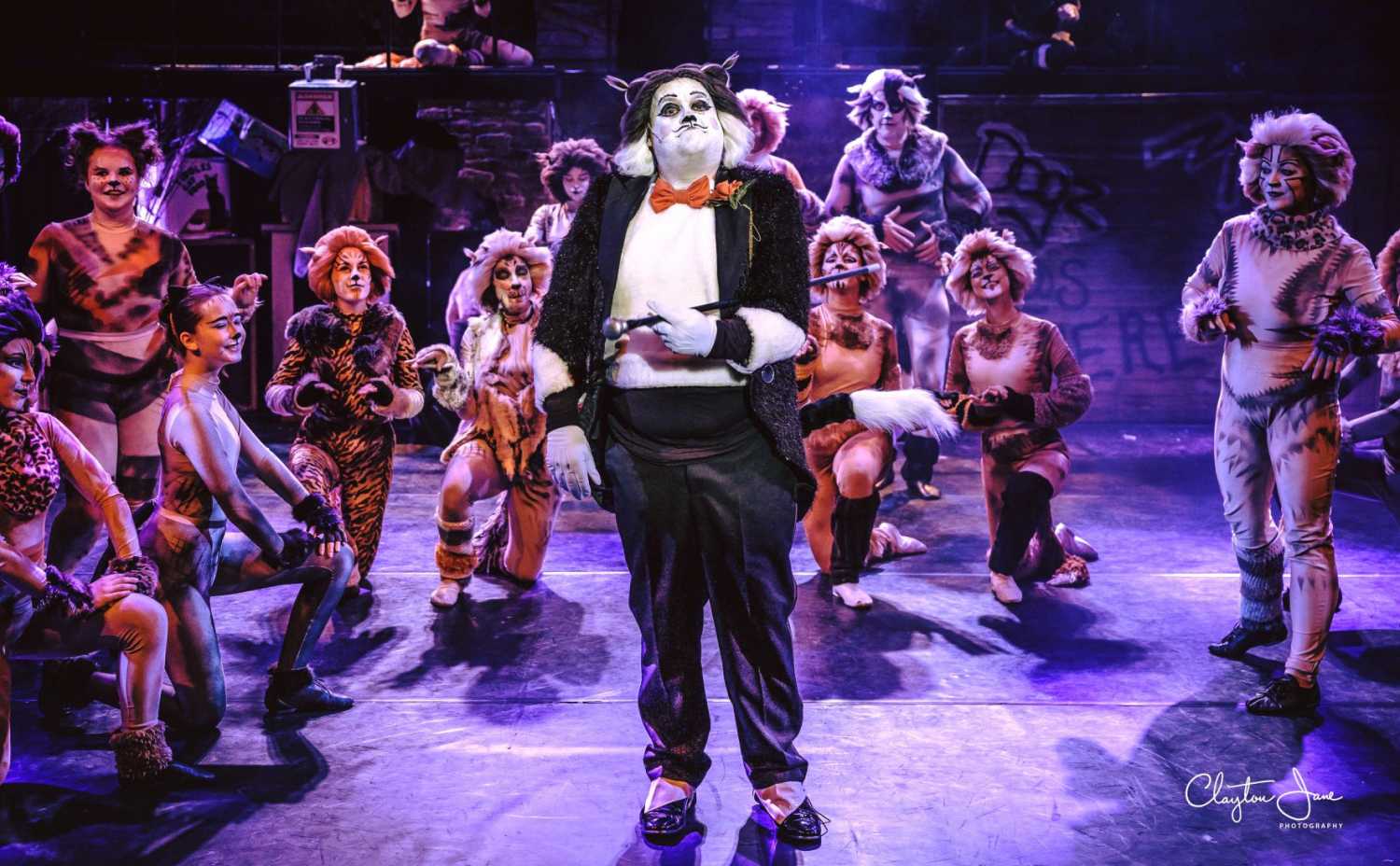 Costumes inspire Cats lighting design - LSi Online